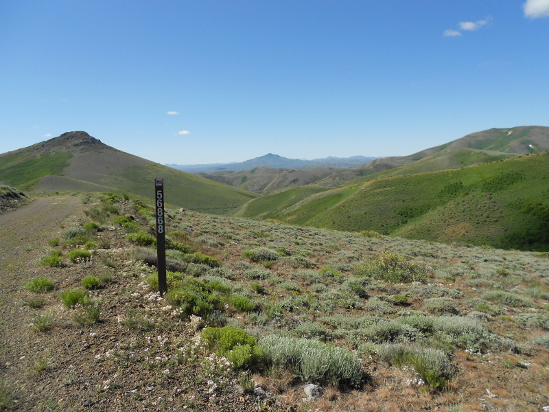 Why Water Quality Improvement Projects Fail | Applied Ecosystem ... Why Water Quality Improvement Projects Fail | Applied Ecosystem ...